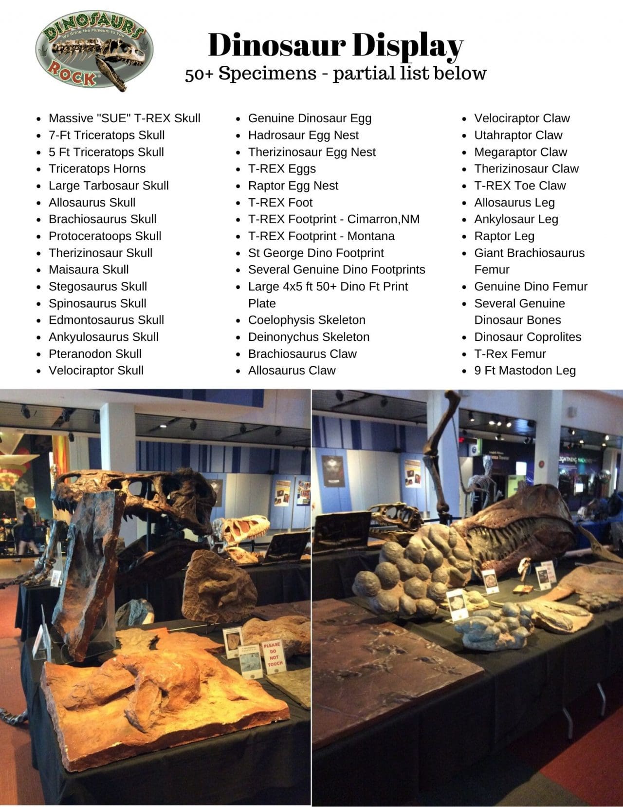DINOSAUR EXHIBITS | DINOSAURS ROCK BIRTHDAY PARTIES and SCIENCE PROGRAMS