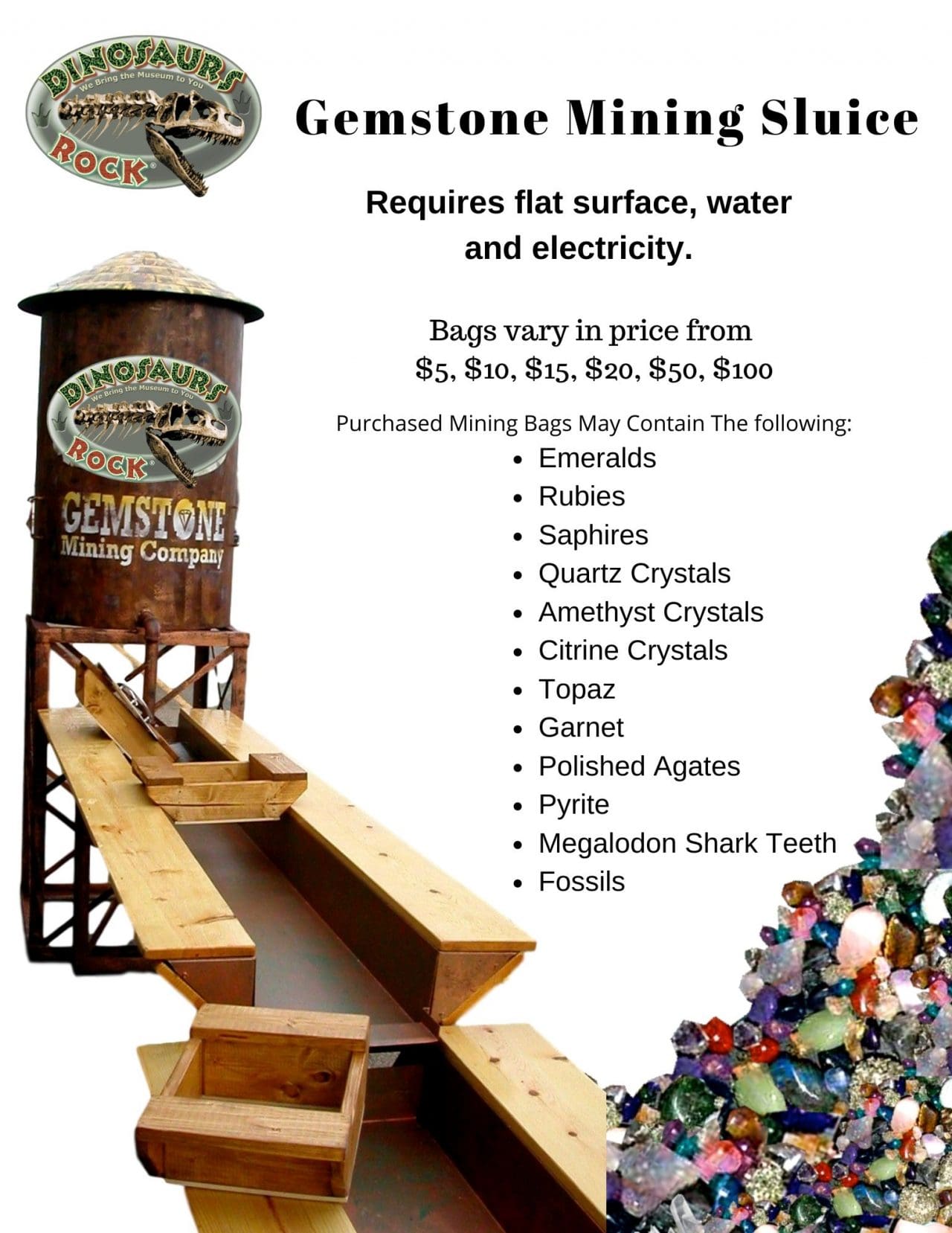 DINOSAUR EXHIBITS | DINOSAURS ROCK BIRTHDAY PARTIES and SCIENCE PROGRAMS