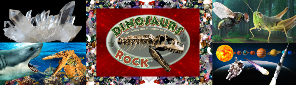 DINOSAURS ROCK PROGRAMS - School Assemblies, Birthday Parties, Library ...