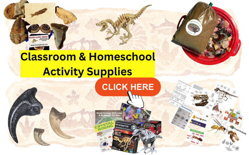 Dinosaurs Rock® School Assemblies & Birthday Parties. Library Oceans Of ...