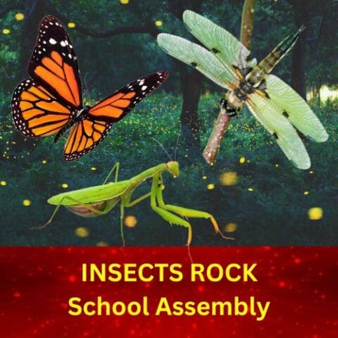 Dinosaurs Rock: Dinosaur Shows, Exhibits and Parties in NJ