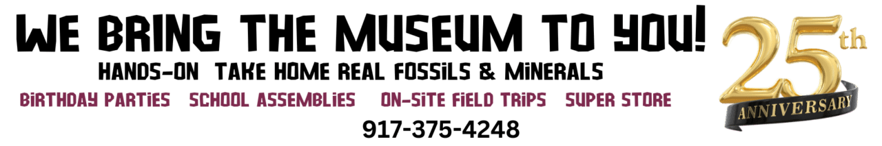 Dinosaur Birthday Parties, School Assemblies and Libraries